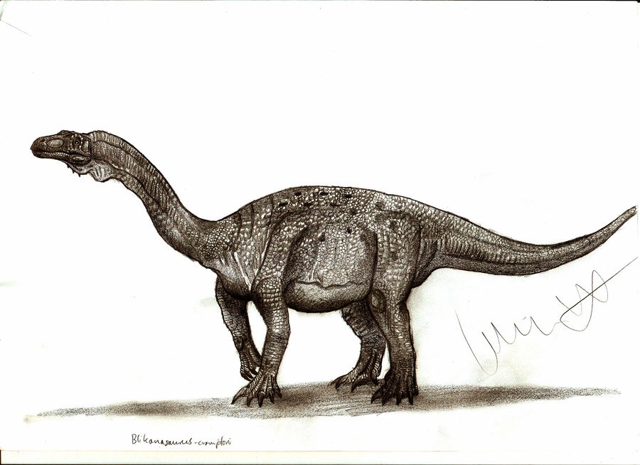 a mesozoic field guide: March 2016