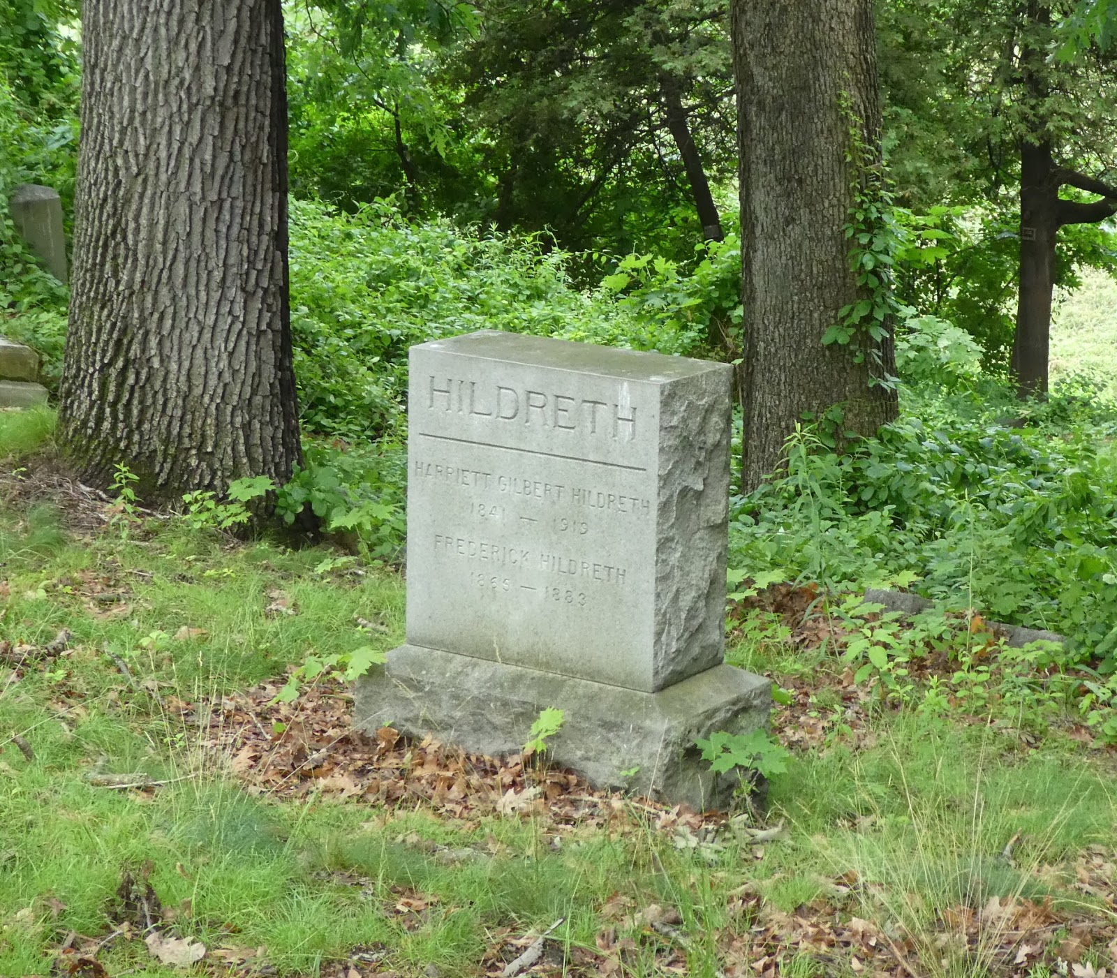 Nutfield Genealogy: Tombstone Tuesday ~ Hildreth mother and son ...