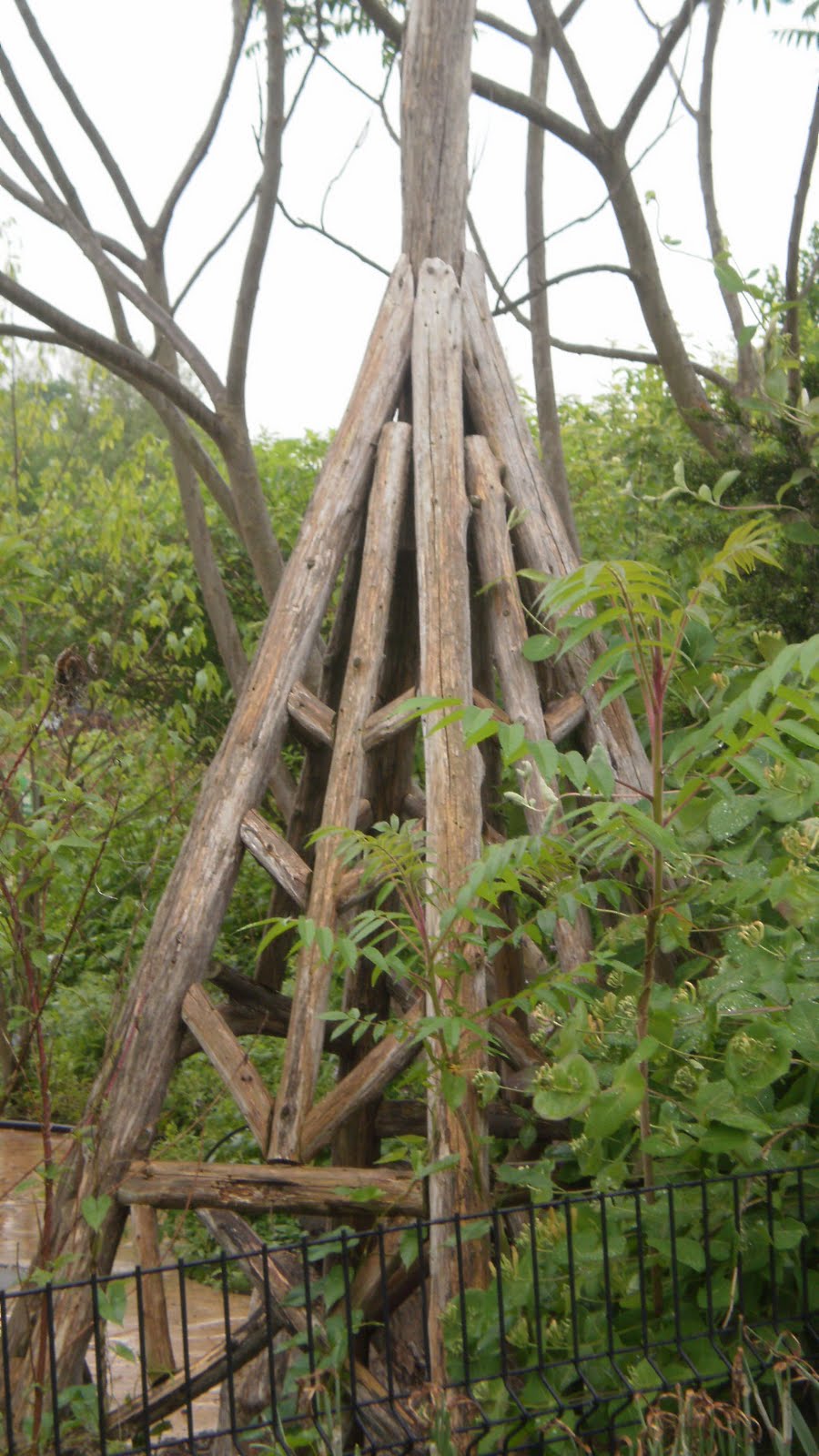 Redbuds and Wrens: Spring Folly