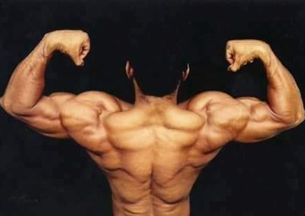 world bodybuilders pictures: mister pakistan 1994 bodybuilder and ...