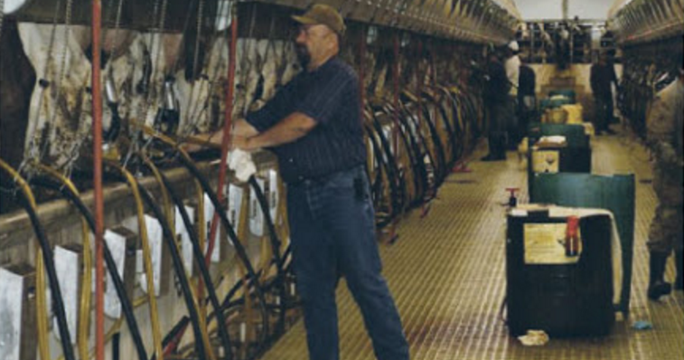 O Maior Produtor Individual de Leite do Mundo é Açoriano ! - I Love Azores