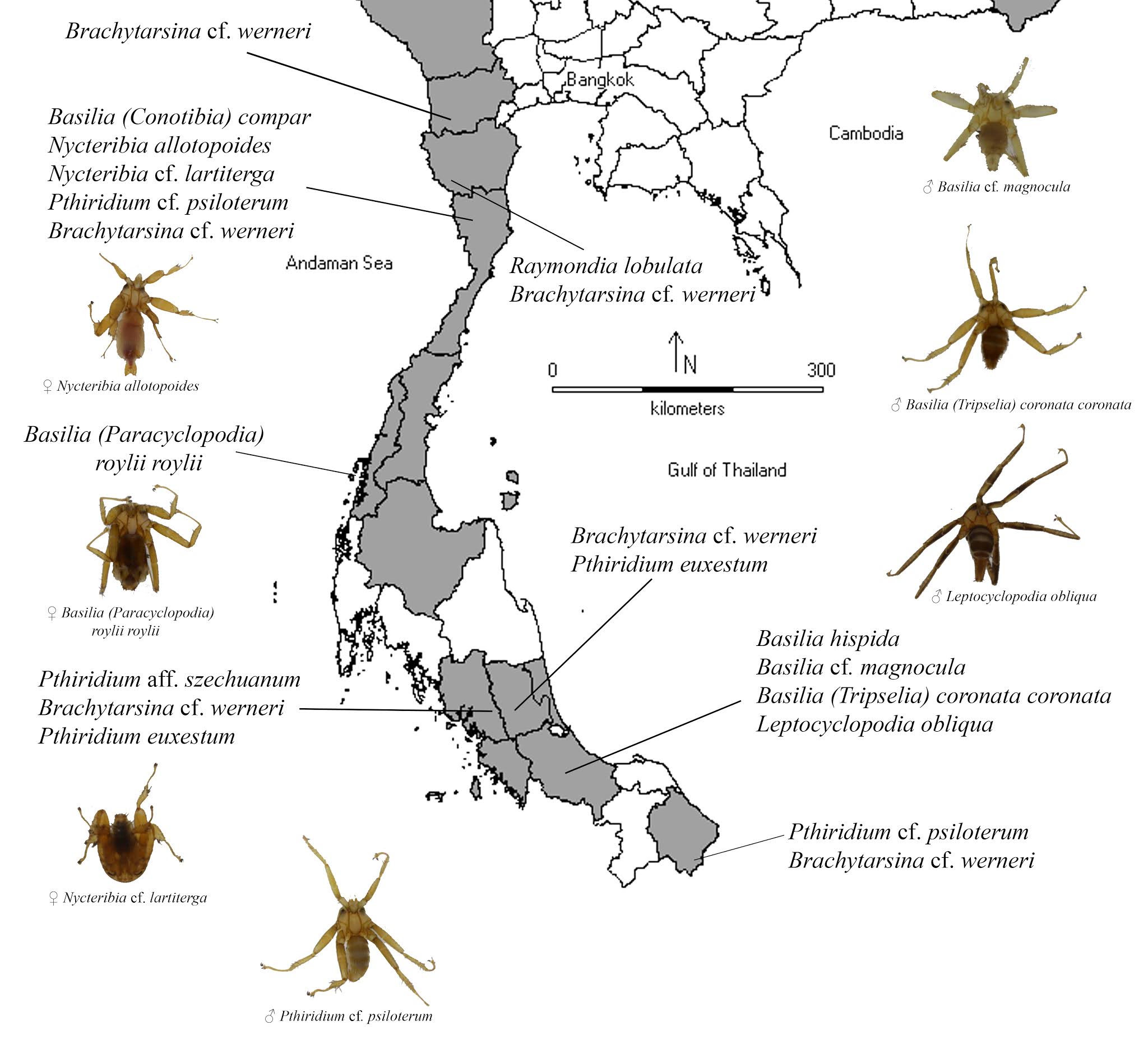 Species New to Science: [Entomology • 2021] A Checklist of Bat Flies ...