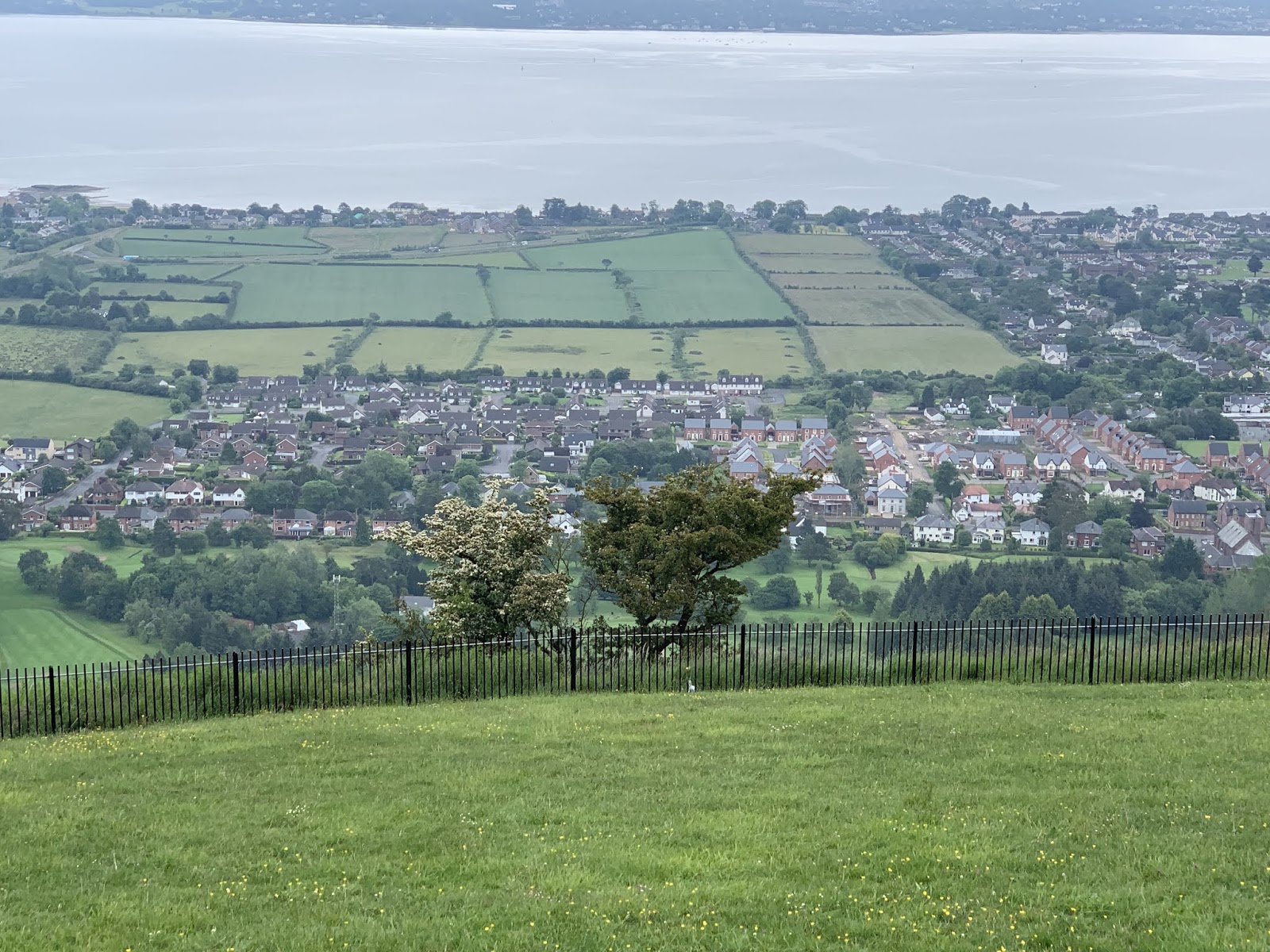Animal, Nature, and Travel: Knockagh Monument in Belfast, Northern Ireland