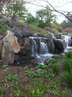 Defining Moments | Dr. Lisa Ortigara Crego