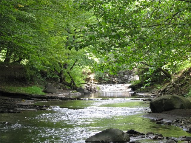 About World: ALGETI NATIONAL PARK