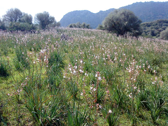 Manuel Cabello y Esperanza Izquierdo: "El blog de Ocurris". "Ubrique en ...