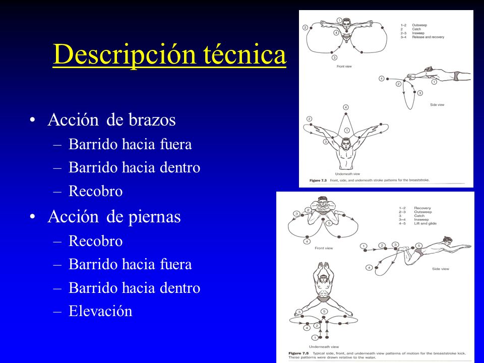 mangel sport: natacion estilo braza