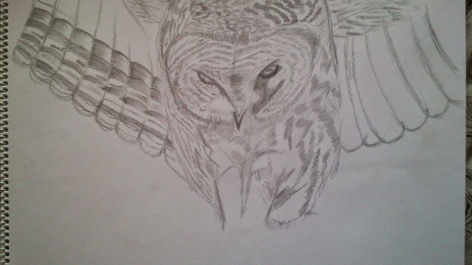 Dive on Arts: An owl and its prey