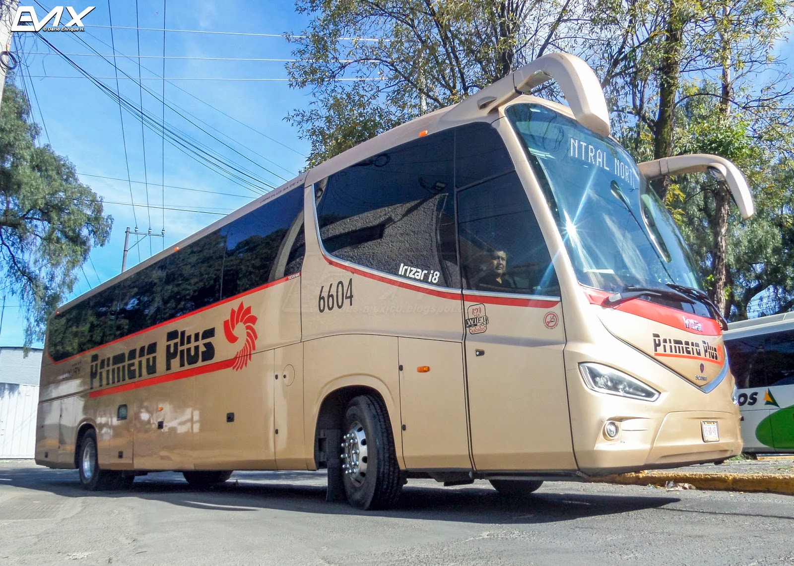 Primera Plus - Bus-México