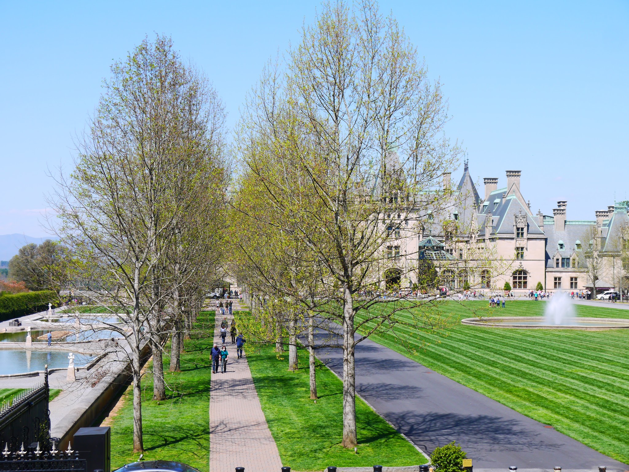 Spring Blooms at the Biltmore Estate in Asheville, North Carolina - The ...
