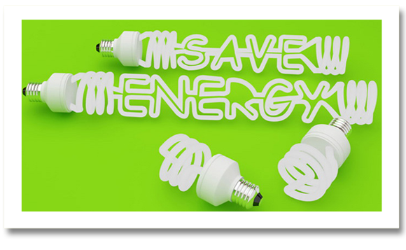 Use Biomass Briquettes To Save Energy And Fuel ~ Live Green, Love Green ...
