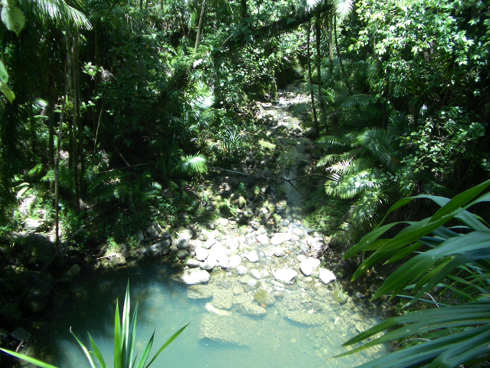 ~ W a y m a r k s ~: Guam - Jungle Trekking