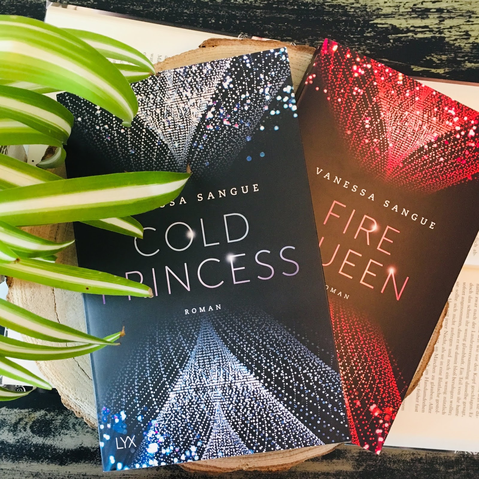 Wunderbar . . . im Norden: SuB-Vorstellung: Cold Princess & Fire Queen ...