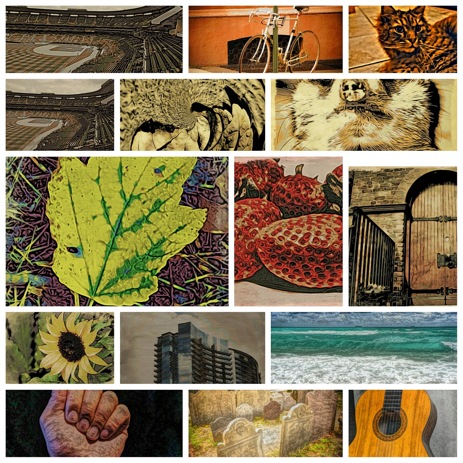 Gallery of downloadable 1 Million Free Pictures!