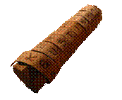 La Classe - Giornale della III B e non solo: CULTURA FLASH — LA SCITALA