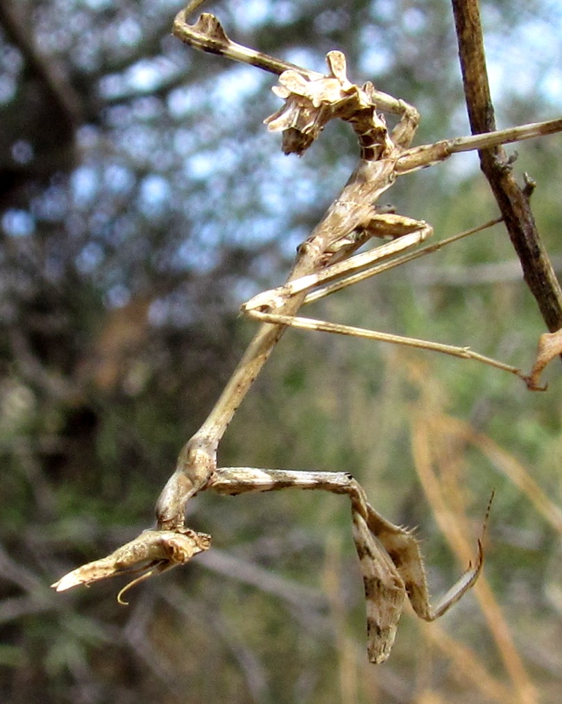 REFLEXIONES: noviembre 2011