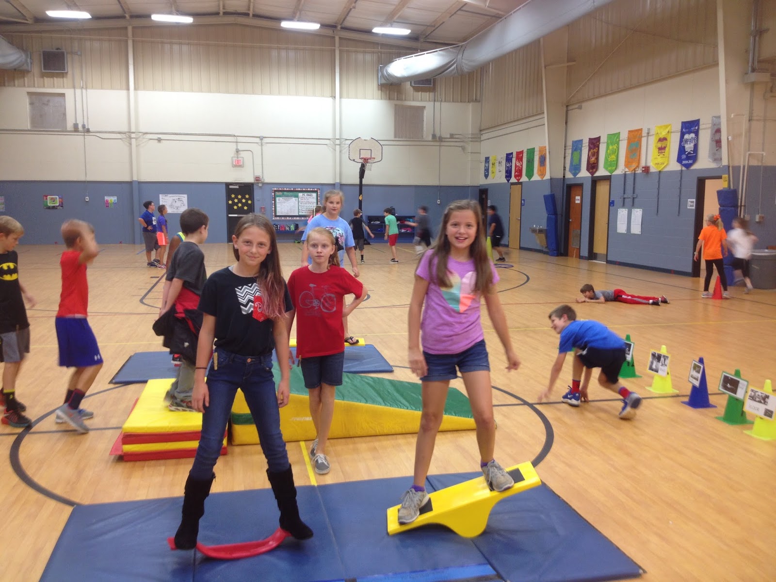 Gymnastics & Climbing Wall