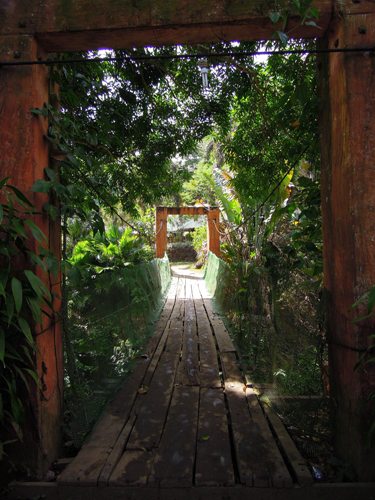 the seasoned first timer: Amadeo's Hidden Gem: Poniente Spring Resort