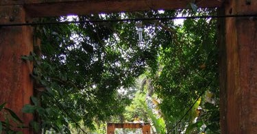 the seasoned first timer: Amadeo's Hidden Gem: Poniente Spring Resort