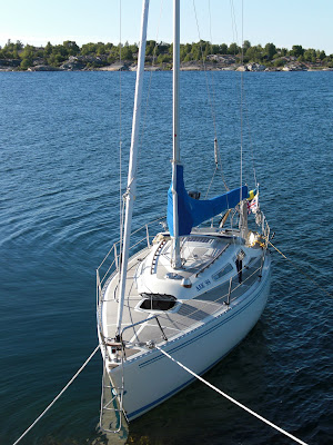 Larsen 28 - SWE 101: Pictures