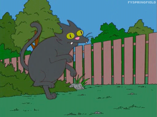 PERROS Y GATOS FAMOSOS: febrero 2018