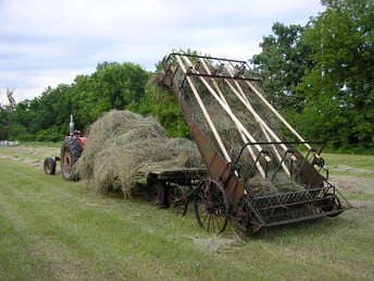 Industrial History: Harvest: Hay: Putting loose hay in a mow
