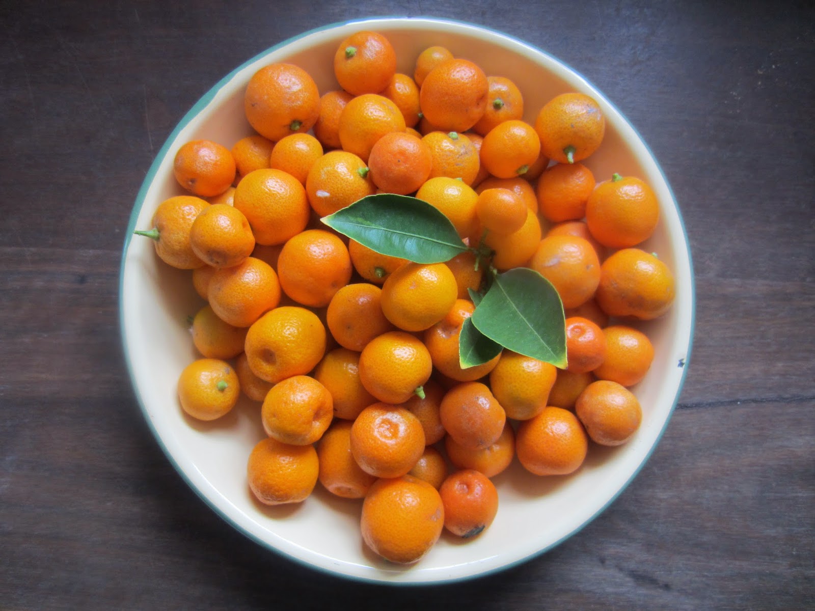 tea with hazel: cumquat cordial