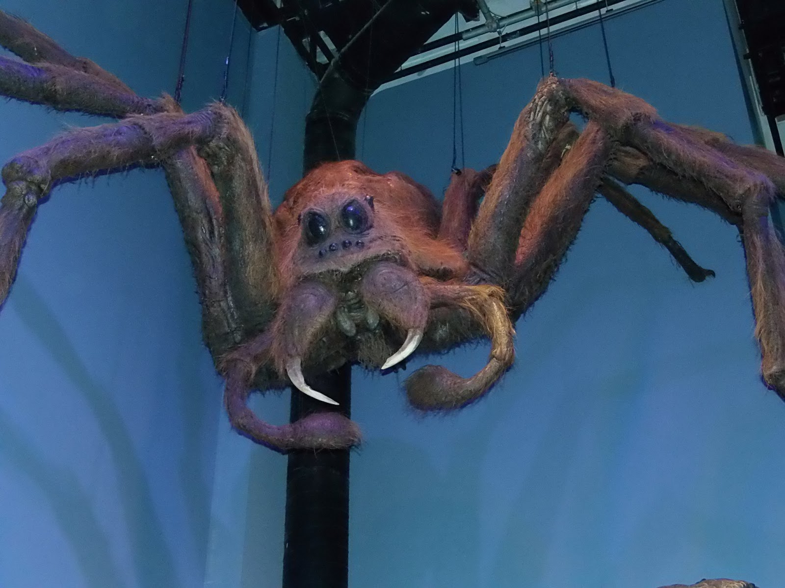 Our Days in Dublin: Harry Potter Studio Tour, UK