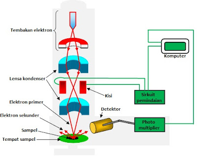 Scanning Electron Microscopy (SEM) ~ Kelas Edukasi