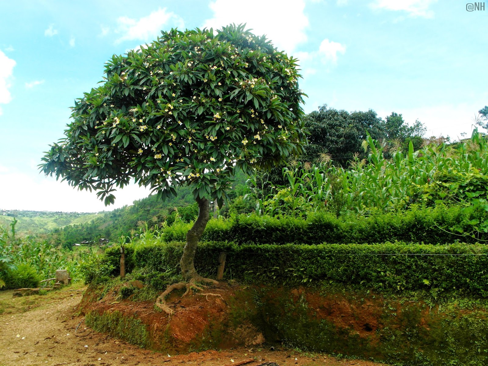 ViewFromAbove: Trip to Myanmar ----- Yangon, Kalaymyo & Chin State ...