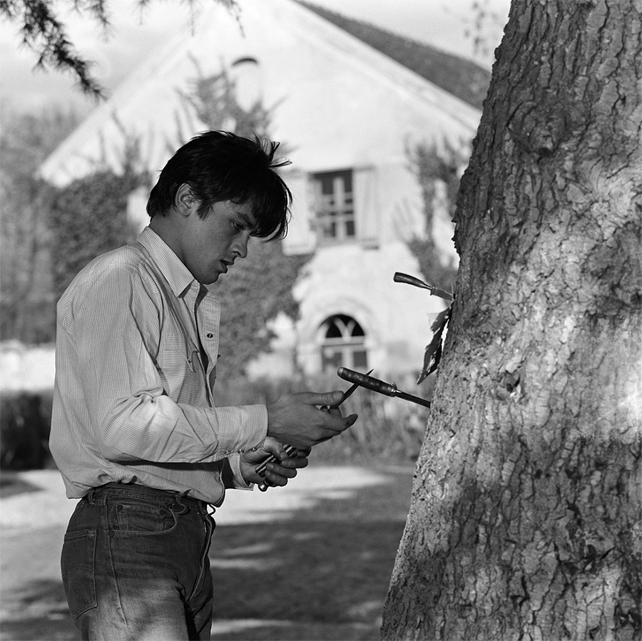 ALAIN DELON: FOTOGRAFÍAS DE WALTER CARONE