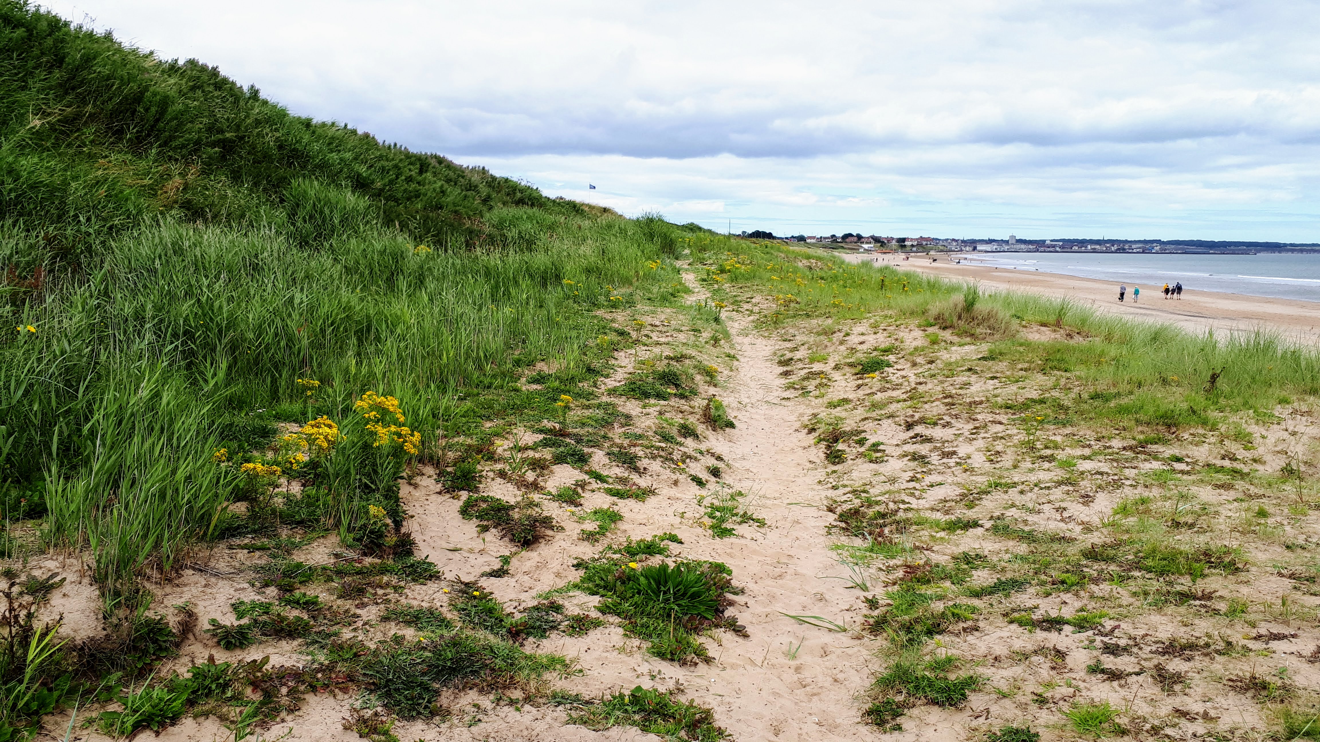 Wild at Hull: Migrants Way. Stage 13. Barmston to Bridlington
