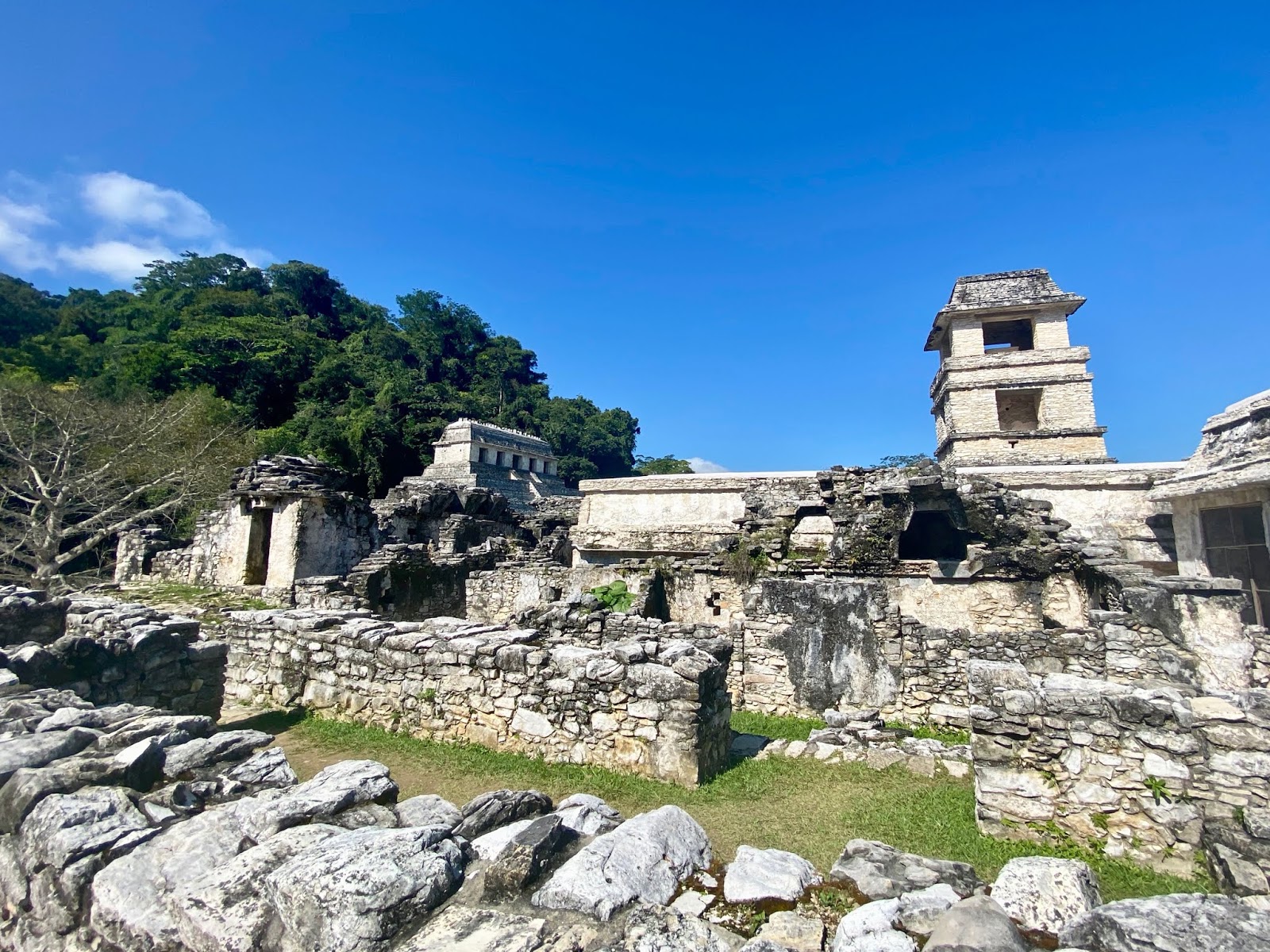 Palenque | Mexico | Just Muddling Through Life