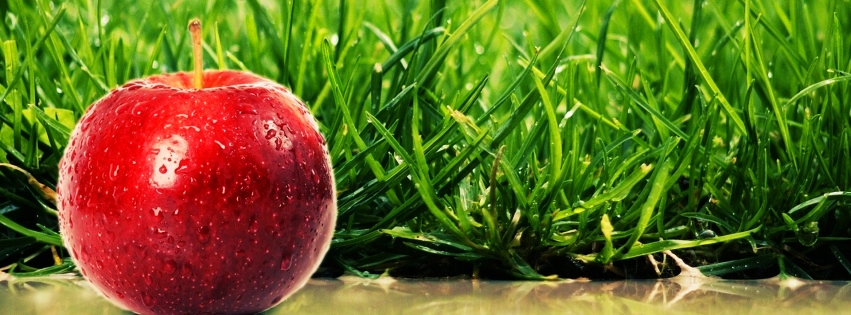 13 Cool Facebook Cover Photos