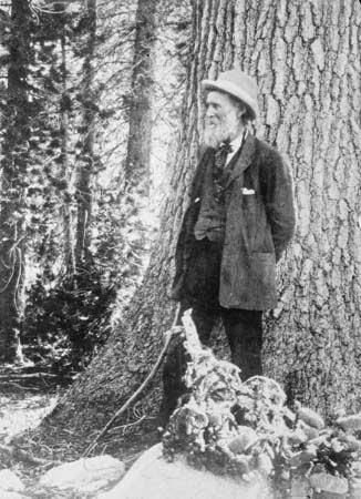 Progress and Innovation: The Conservation Movement