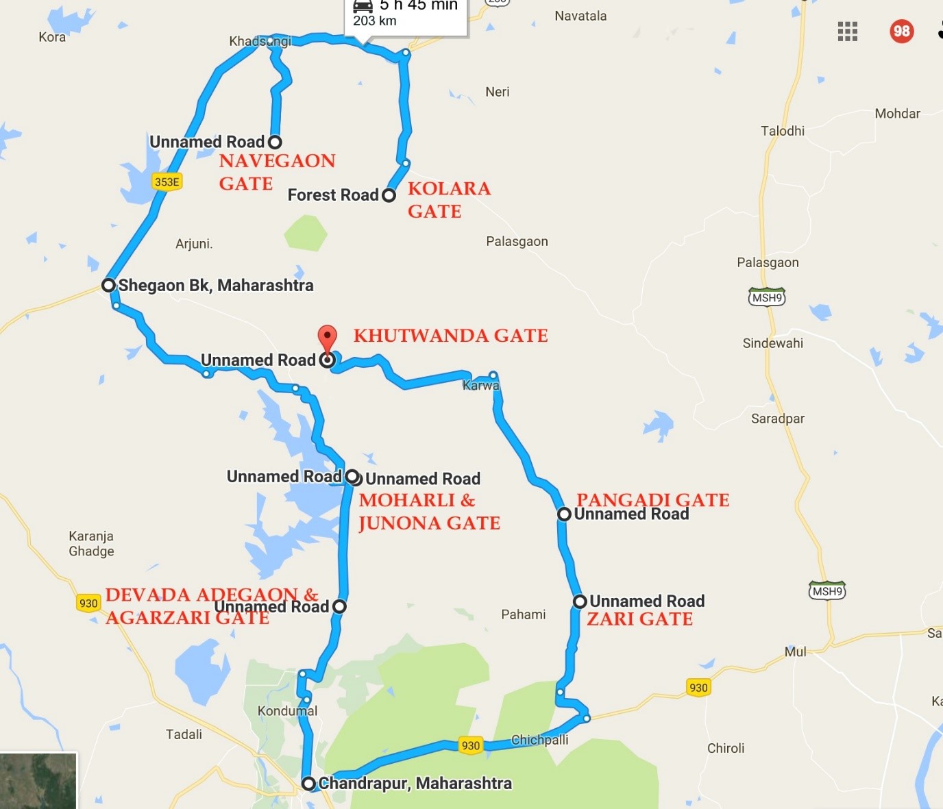 Karthik's Wander: Wild Trails of Tadoba