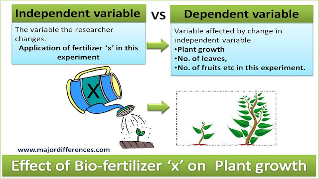 5 Differences Between Independent Variable And Dependent Variable In 5 Differences Between Independent Variable And Dependent Variable In