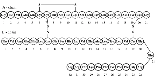 Dr.EDUARDO BERCOVICH: Diabetes tipo 1: Insulina Glargina