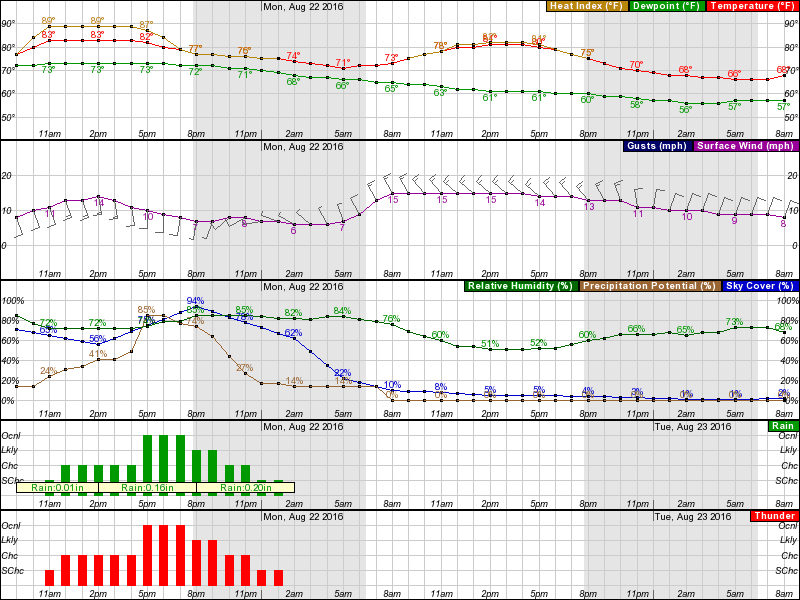 The Freiday Bird Blog: Flight? Flight.