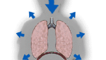 Participación en la toma de constantes vitales.