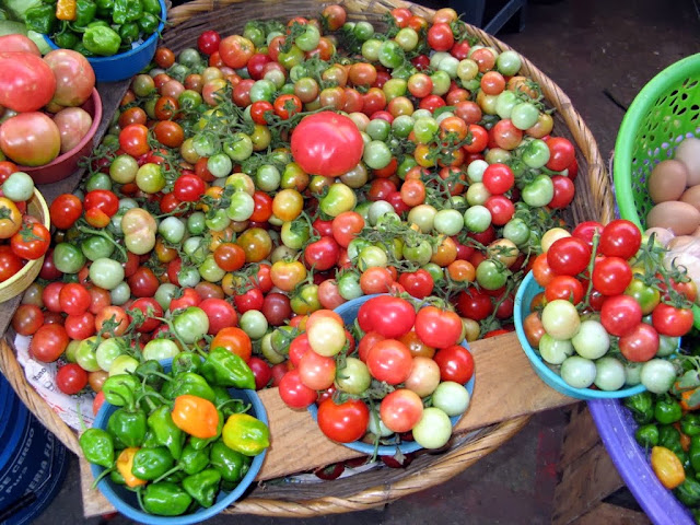 My Mexican Kitchen: You say "Tomato", she says "Tomahto", I say "Criollo".