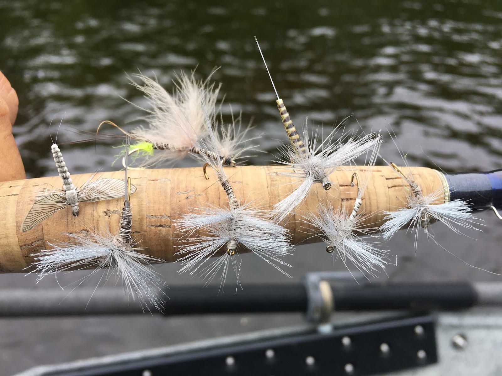 Gray Drake Hatch Private Trophy Brown Trout Classes with Matt ~ Matt ...