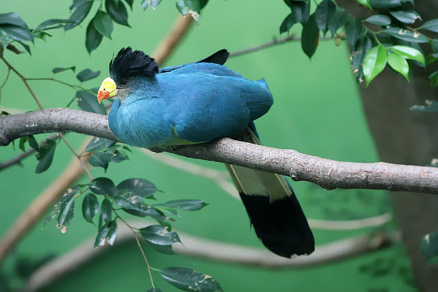 Natureza, Perfeição sem tamanho...