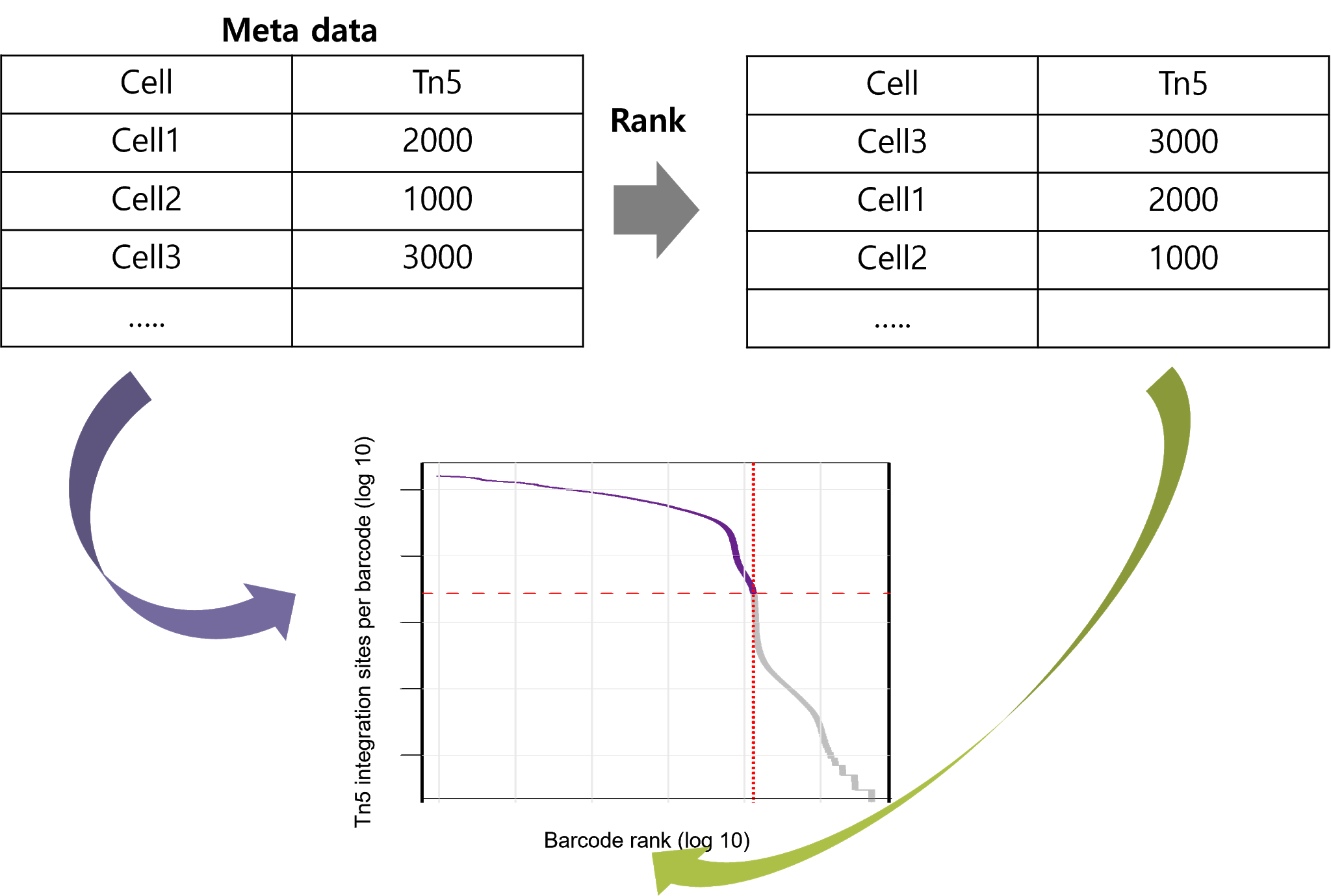 Single cell 분석/Quality control(QC), doublets 뜻