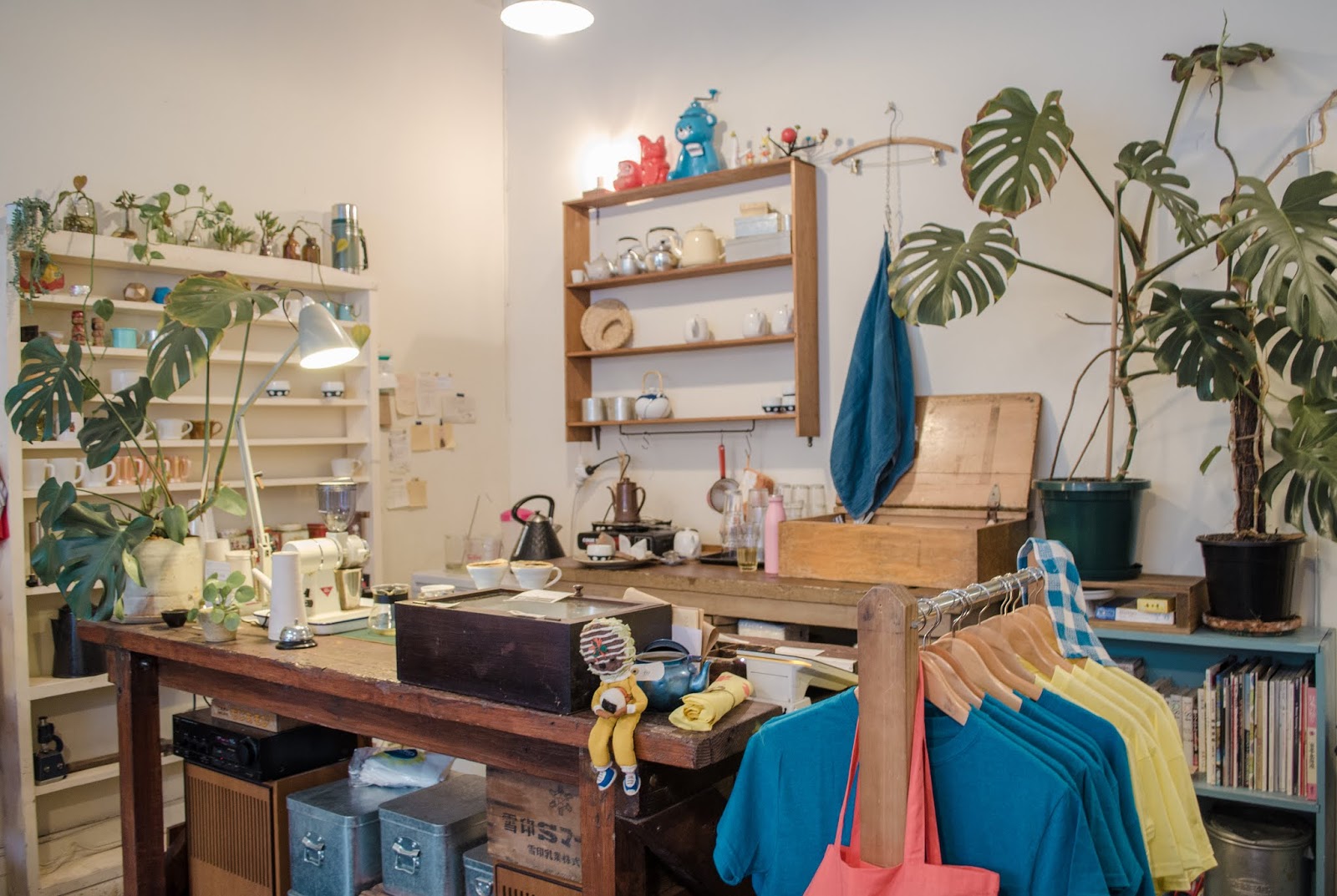 Papirica with Clarinda - AnQi the 155cm Petite