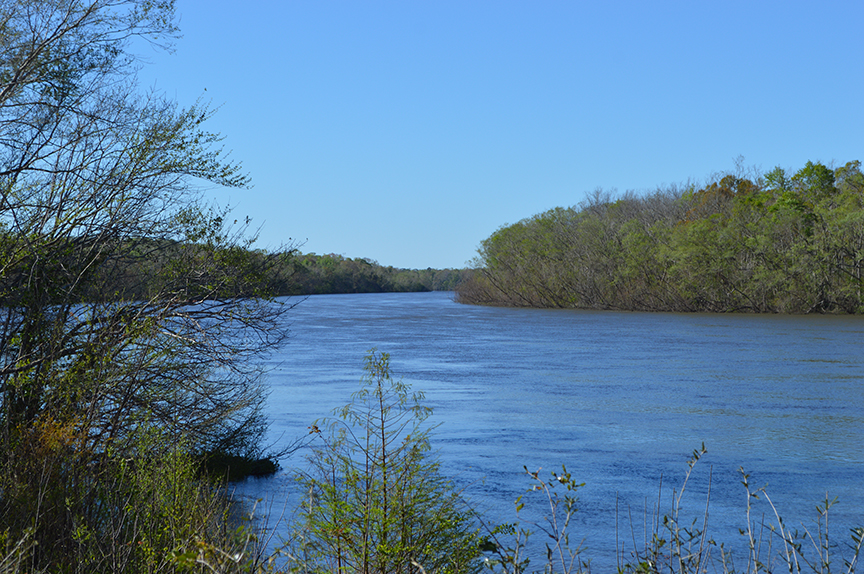 Dale Cox, Historian & Author: GOD SAVE MUSKOGEE: Pirate War on the ...