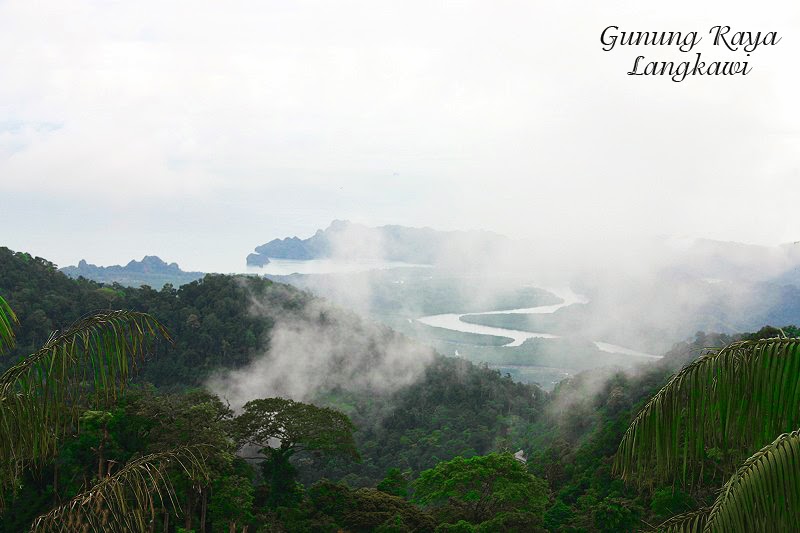 FCU HOMESCHOOLING JOURNEY: PENJELAJAHAN HUTAN GUNUNG RAYA