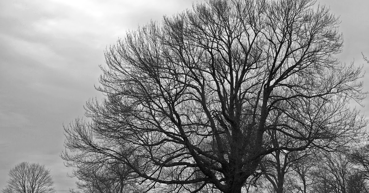 Je Suis Andrea: Photography- Desaturated vs. Saturated Images