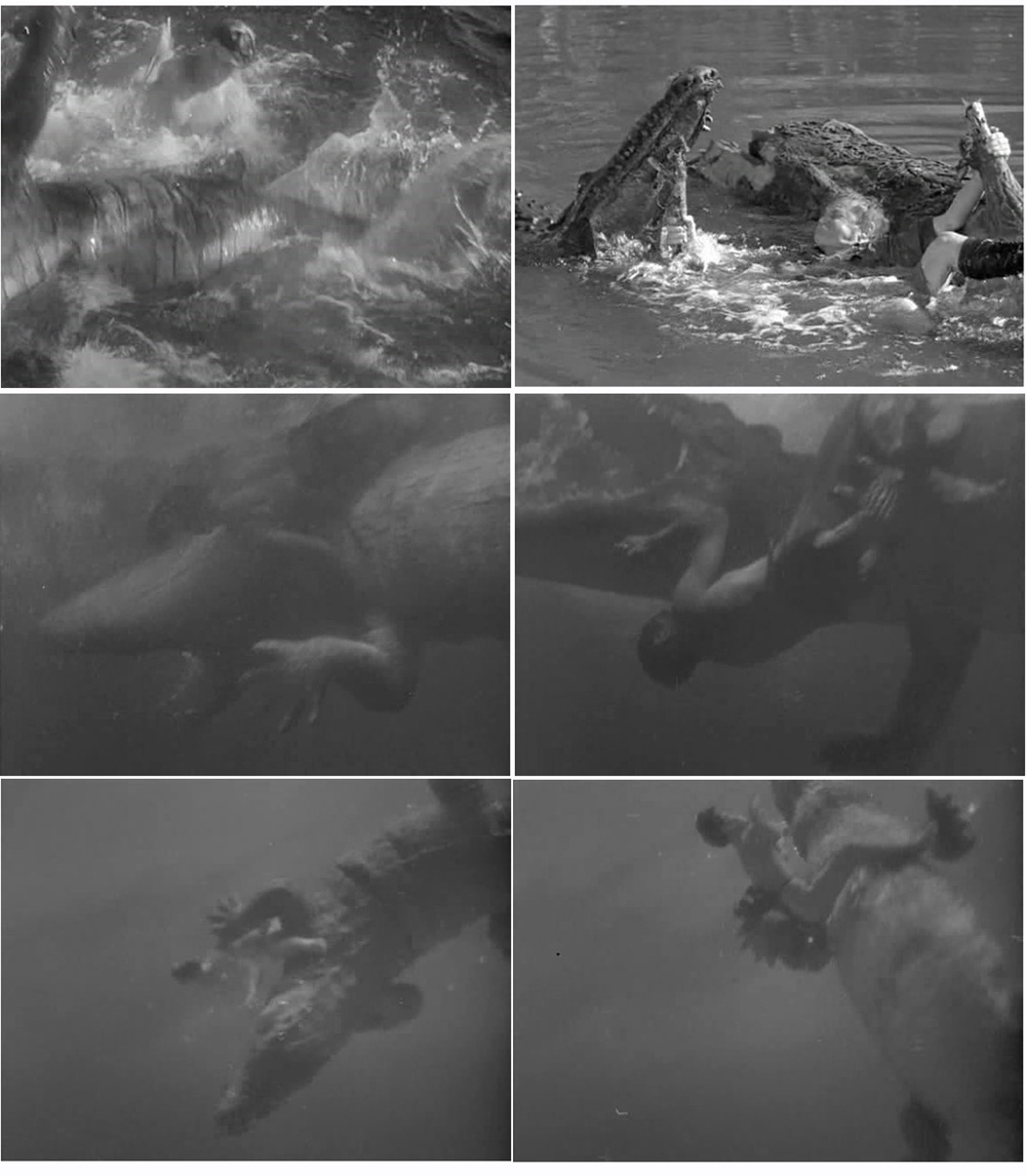 Matte Shot - a tribute to Golden Era special fx: "Me Tarzan...You Jane ...