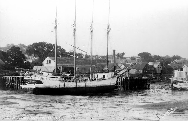 A tale from the world's smallest harbour